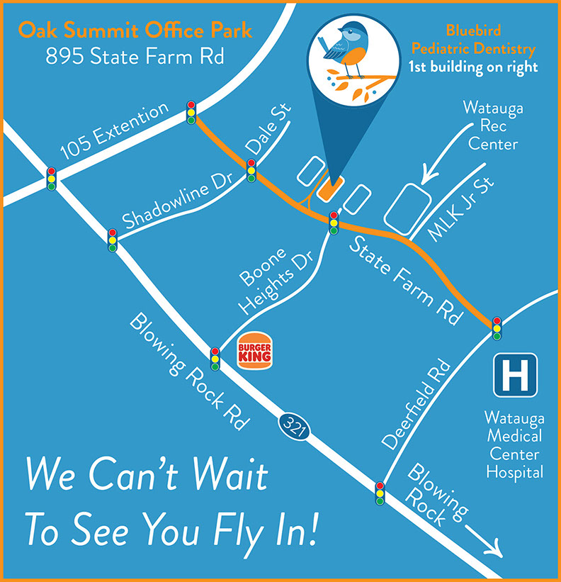 Welcome | Bluebird Pediatric Dentistry in Boone & West Jefferson NC